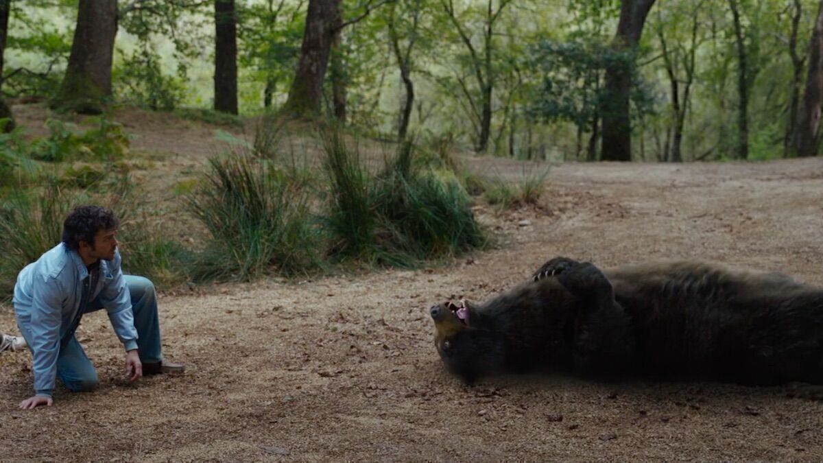 Deshalb geht der Trailer zu "Cocaine Bear" viral | W&V