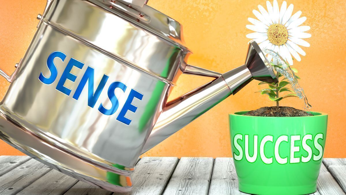 Nordstern statt Nice-to-have: Warum Transformation ohne Purpose ...