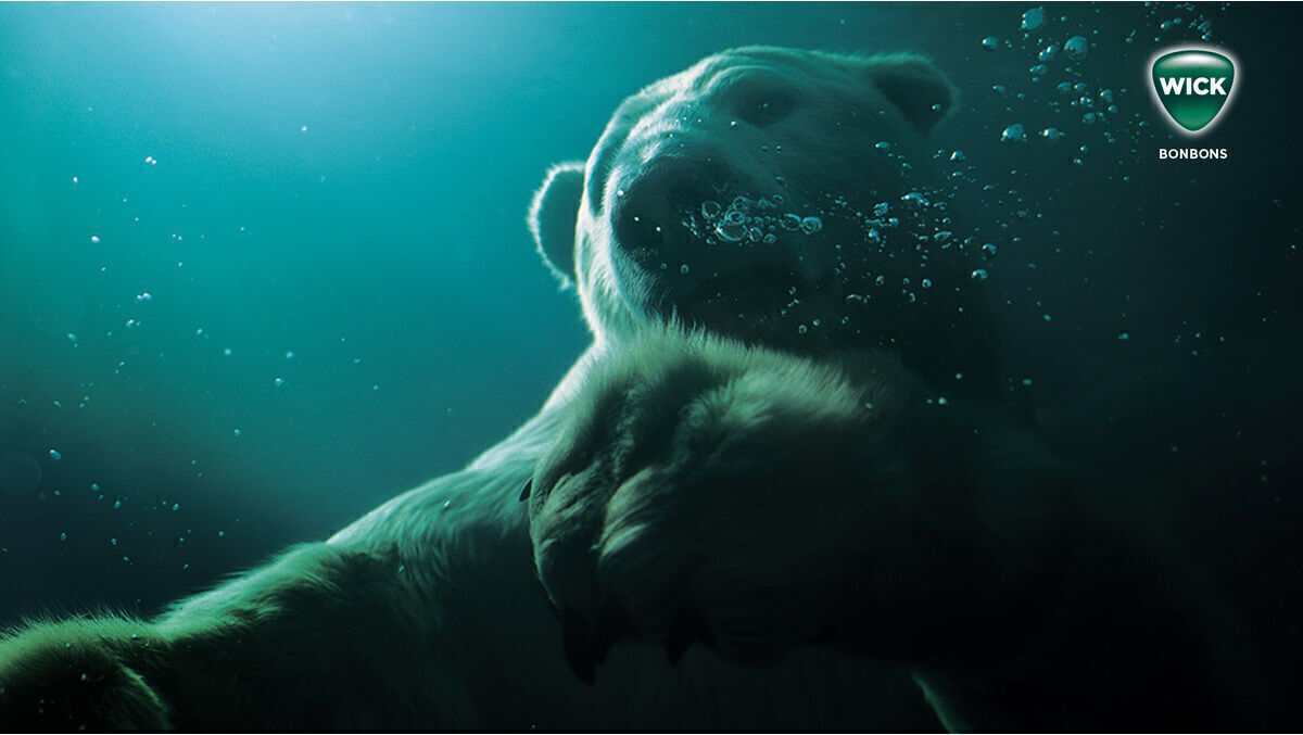 Wick Hustenbonbons lässt den Eisbären wieder los | W&V