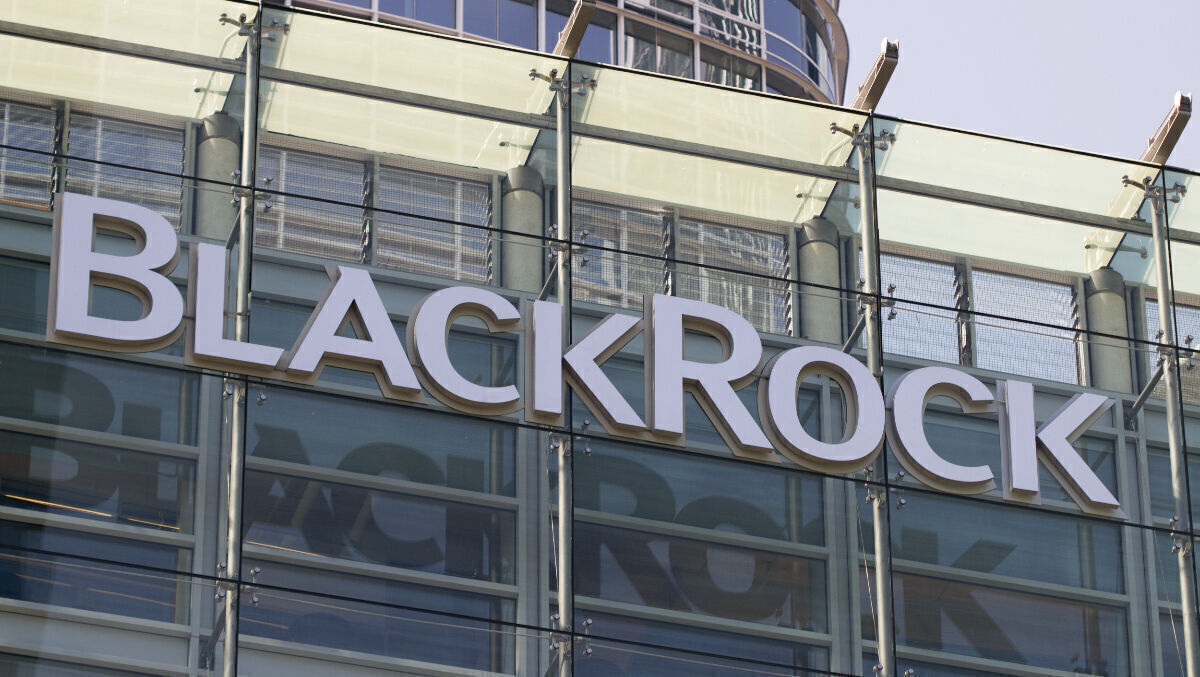 BlackRock überrollt die Fonds-Konkurrenz online | W&V