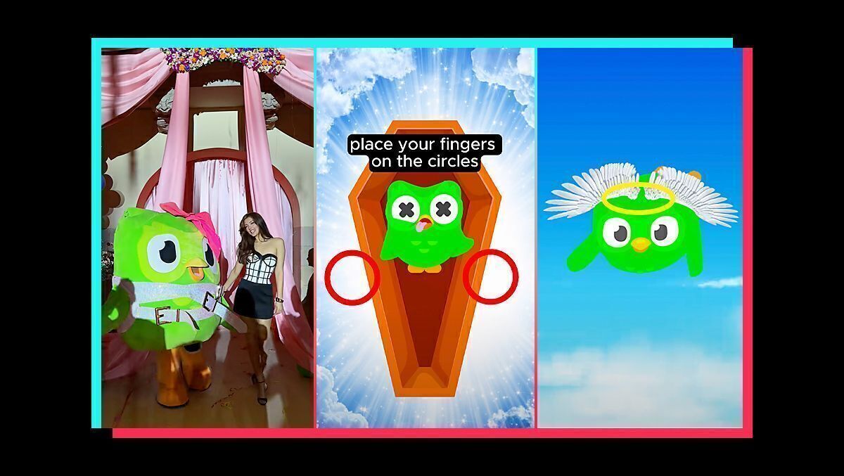 Tot, aber trending: Duolingo wird Kult dank schwarzem Humor | W&V