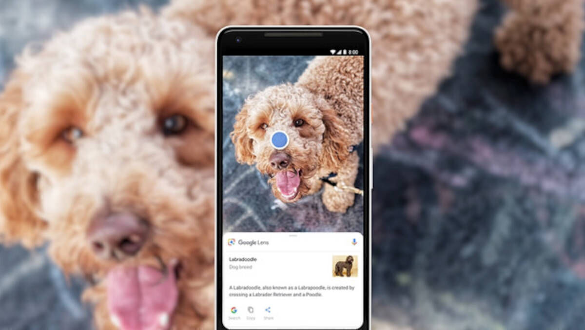 Das sind die neuen Funktionen von Google Lens | Special | Dmexco | W&V