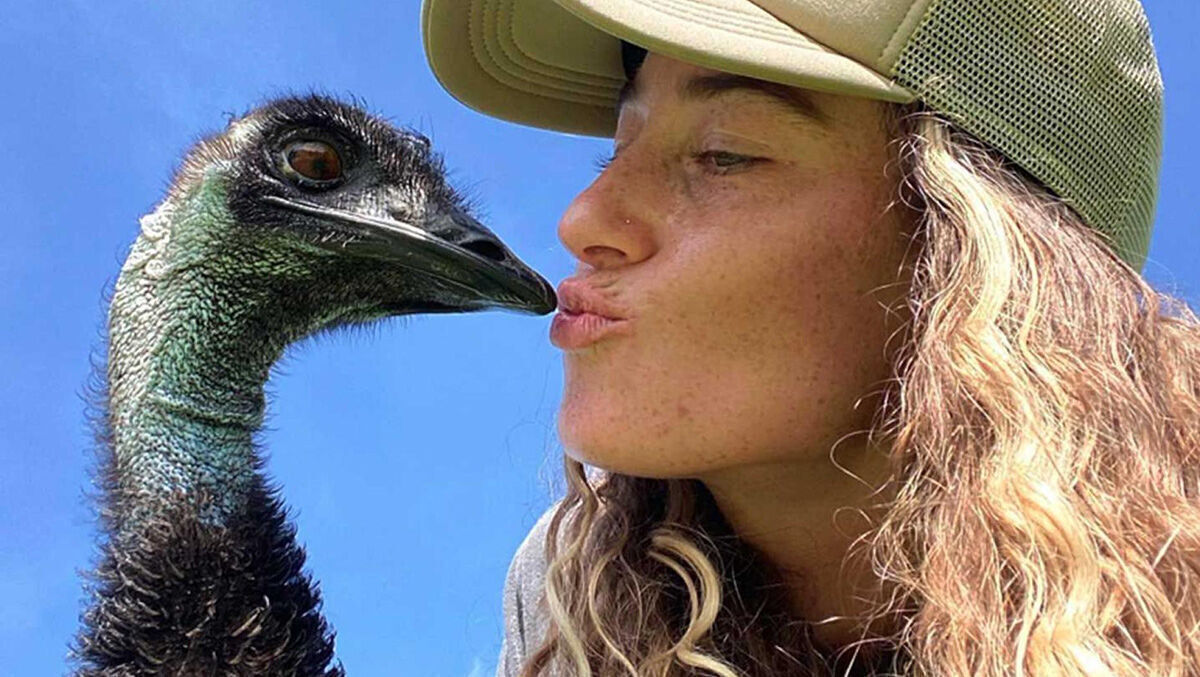 Tiktok: Viraler Vogel hat Vogelgrippe | W&V