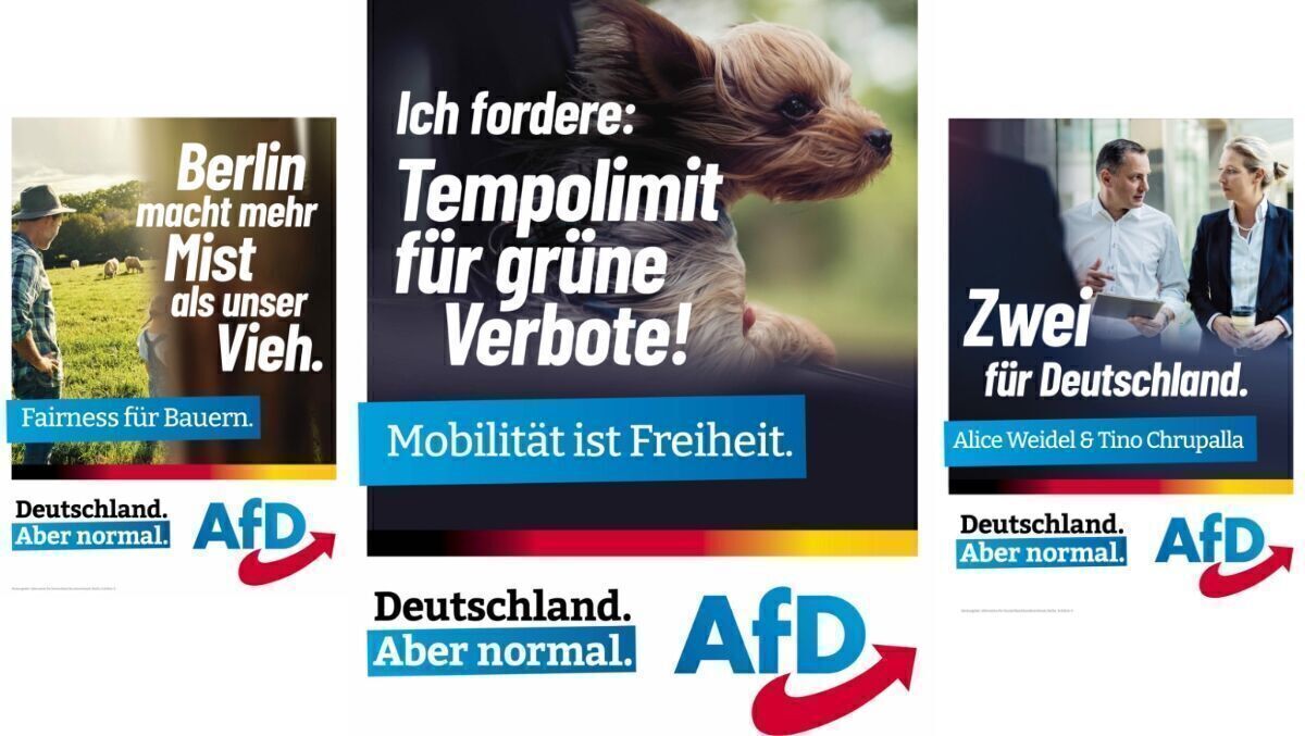 AFD-Spot kommt ohne die Spitzenkandidaten aus | W&V