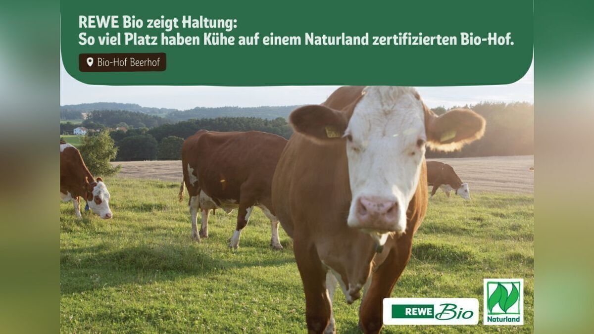 Rewe startet große Bio-Kampagne | Special | Green Marketing Day | W&V